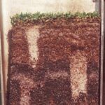 Turf Soil Management – GreenKeeper University